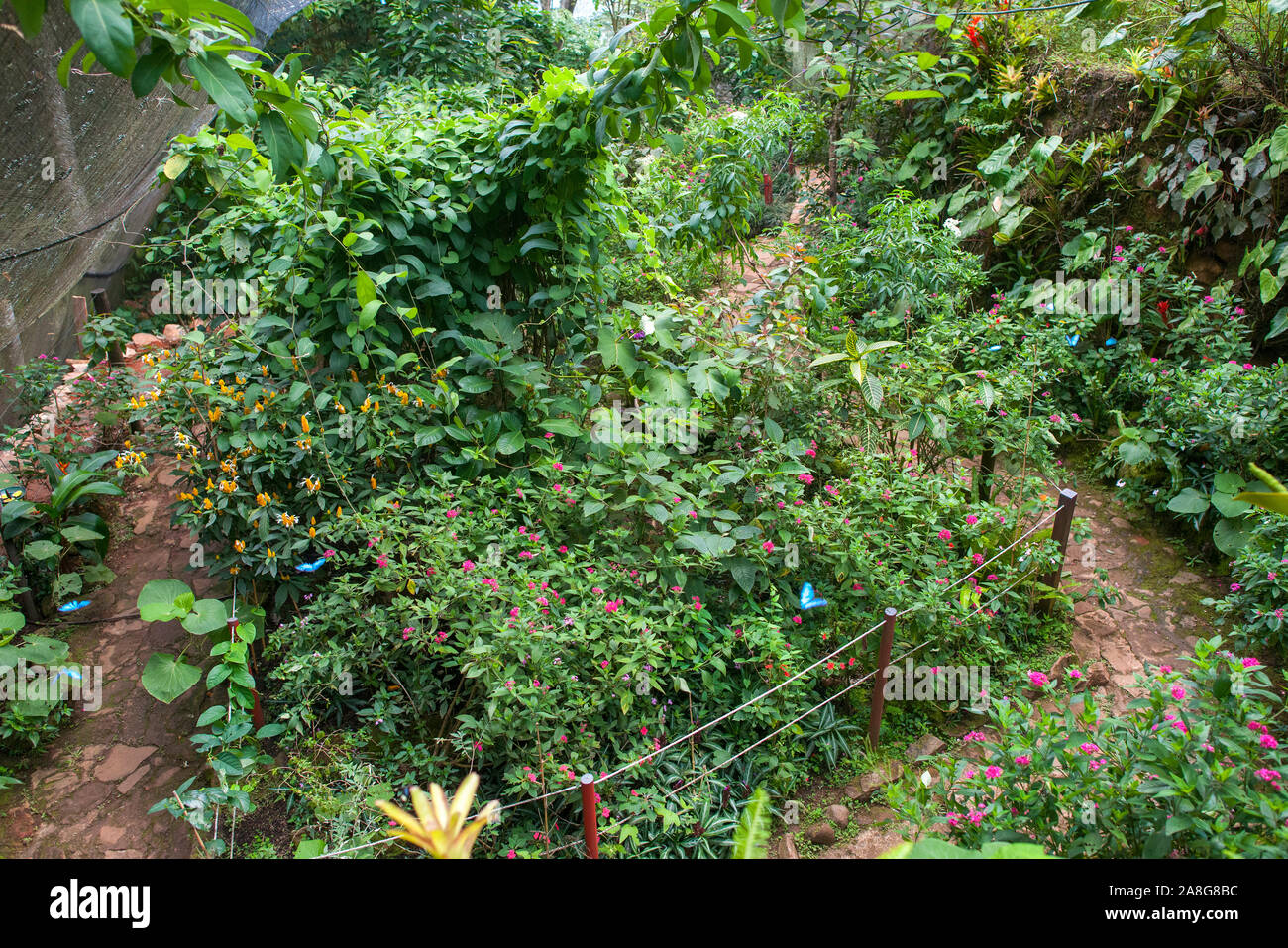 Mariposario hi-res stock photography and images - Alamy