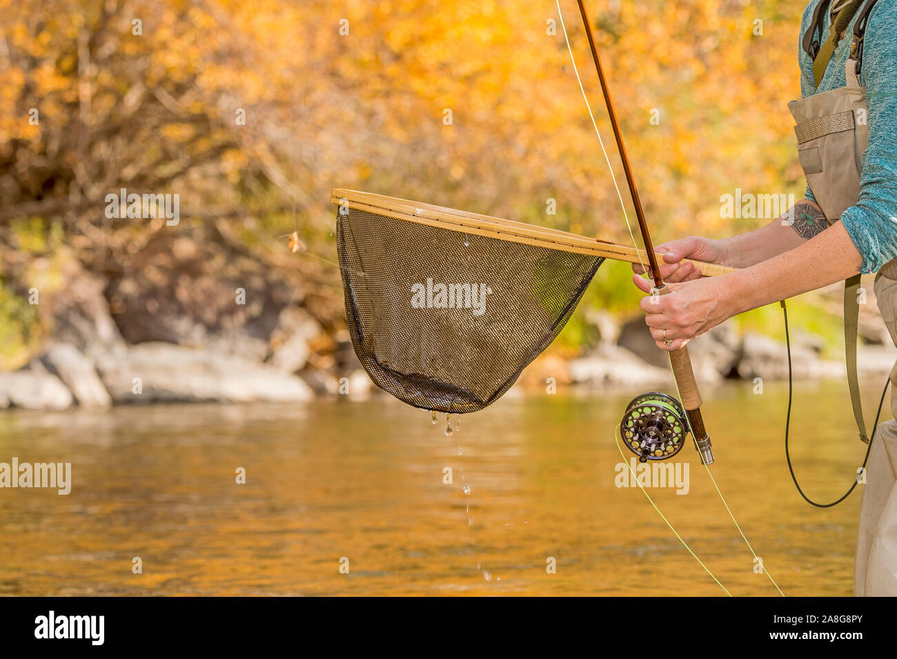 Woman stripping hi-res stock photography and images - Alamy