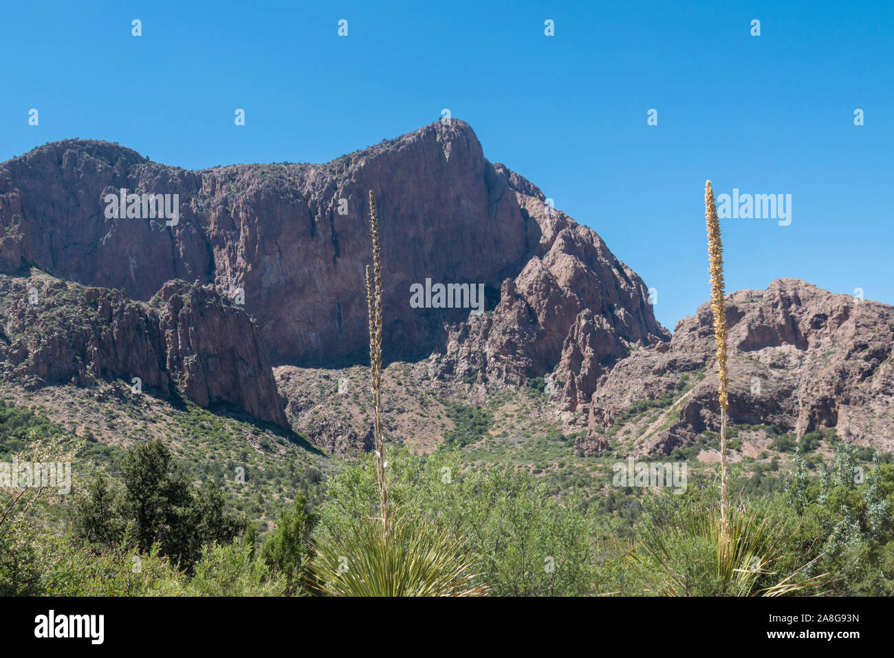 Desert landscape view during the day in Big Bend National Park (Texas ...