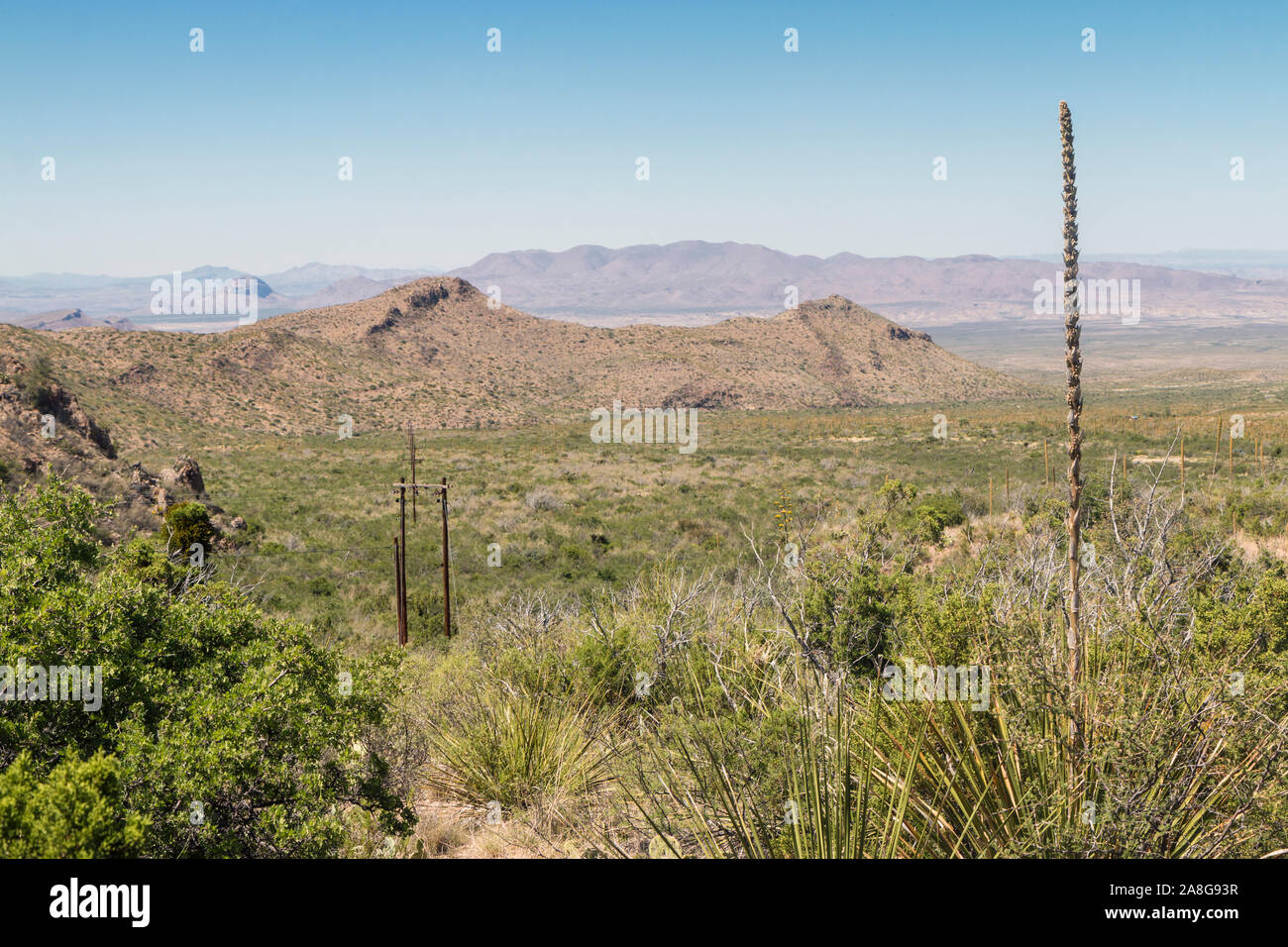 Desert landscape view during the day in Big Bend National Park (Texas ...