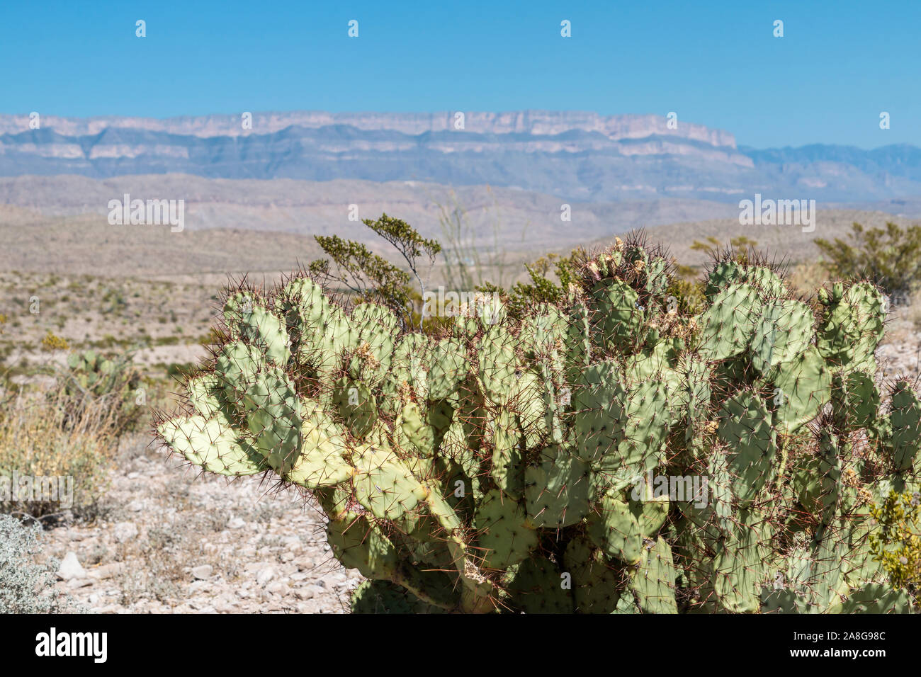 Desert landscape view during the day in Big Bend National Park (Texas ...