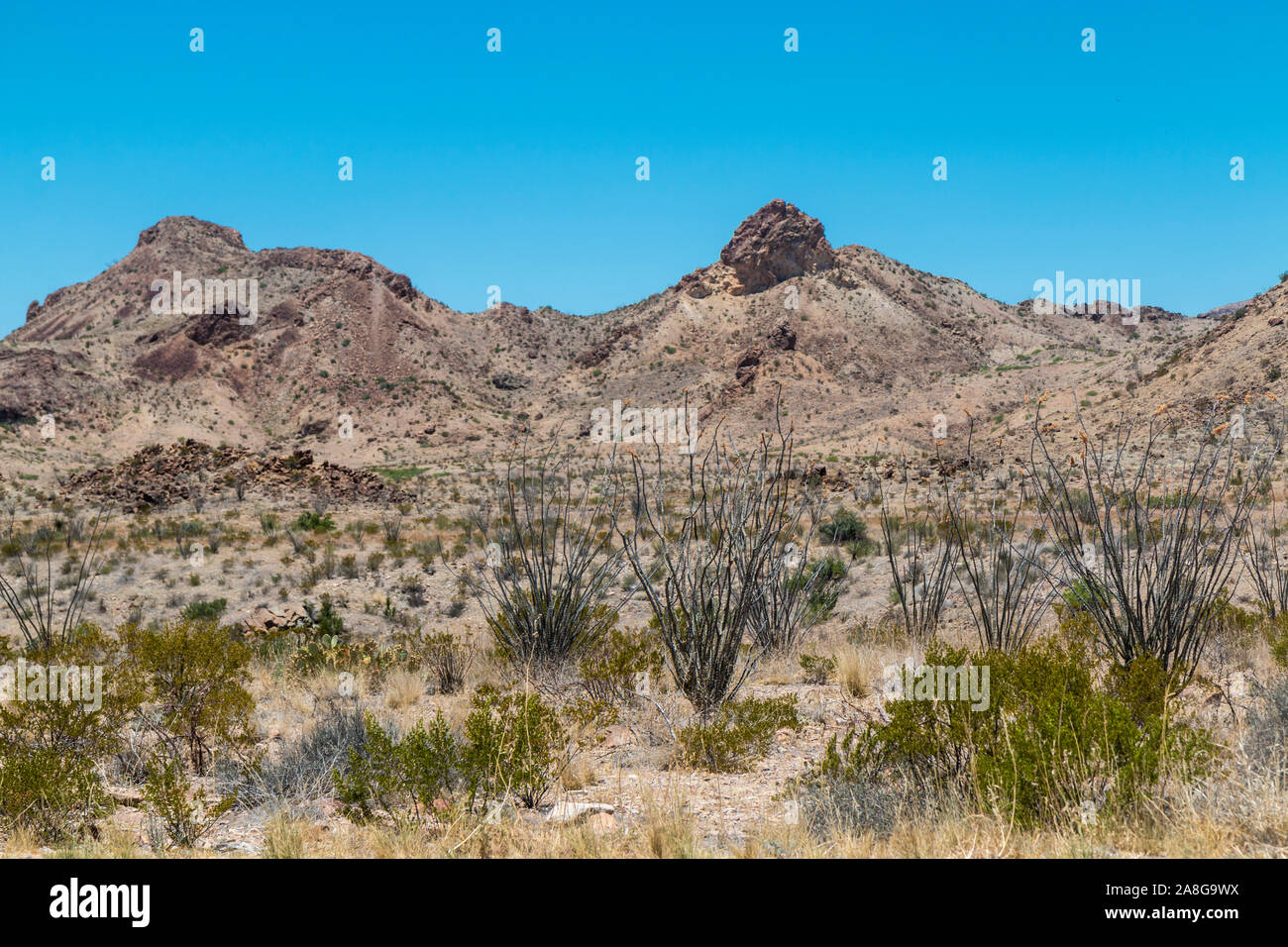 Desert landscape view during the day in Big Bend National Park (Texas ...