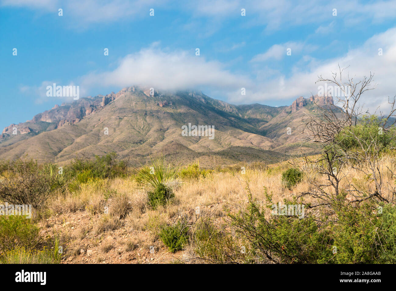 Desert landscape view during the day in Big Bend National Park (Texas ...