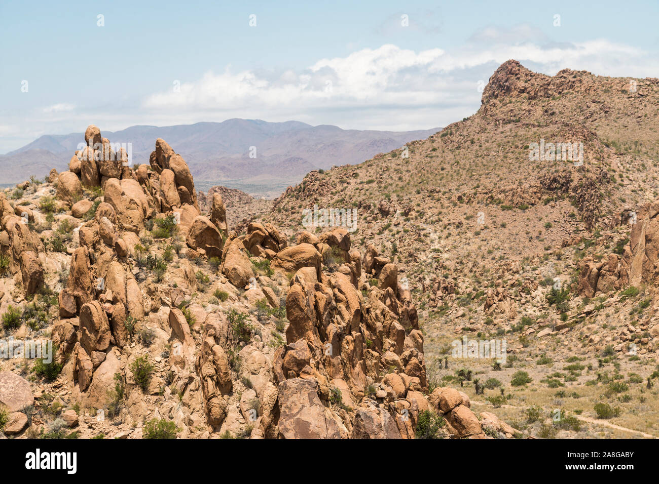 Desert landscape view during the day in Big Bend National Park (Texas ...