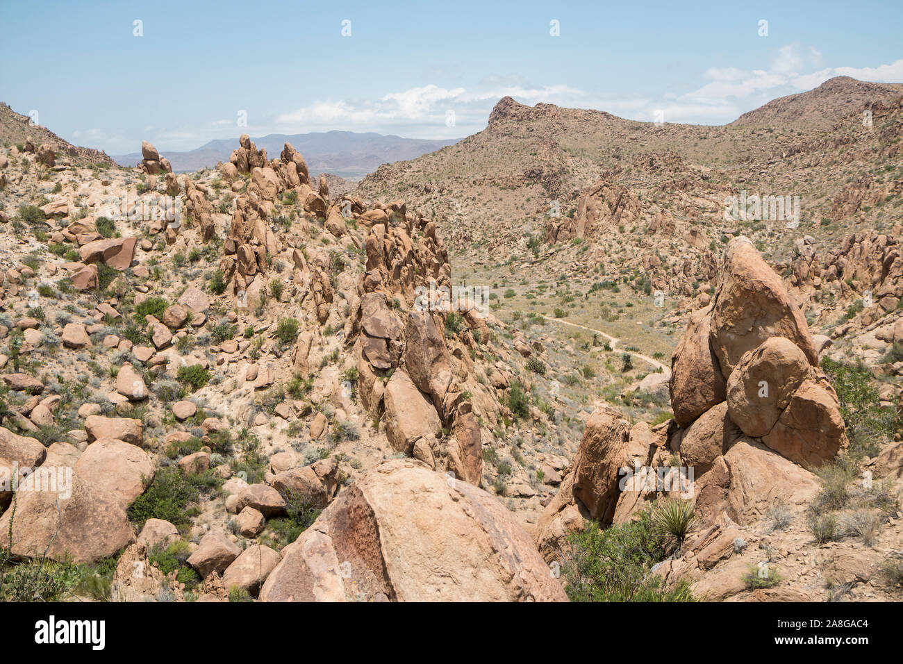 Desert landscape view during the day in Big Bend National Park (Texas ...
