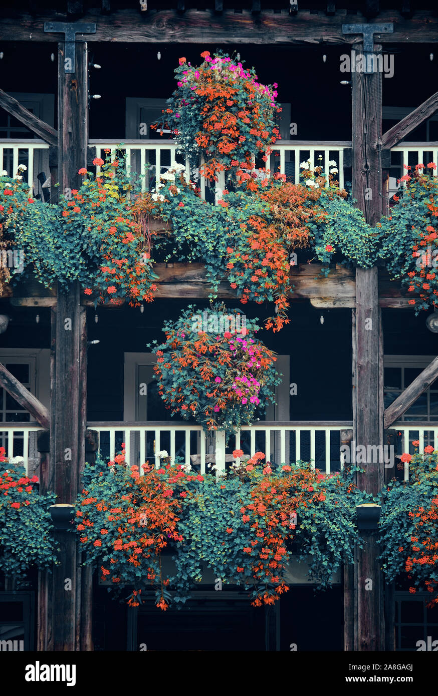 Beautiful flower in London street Stock Photo - Alamy