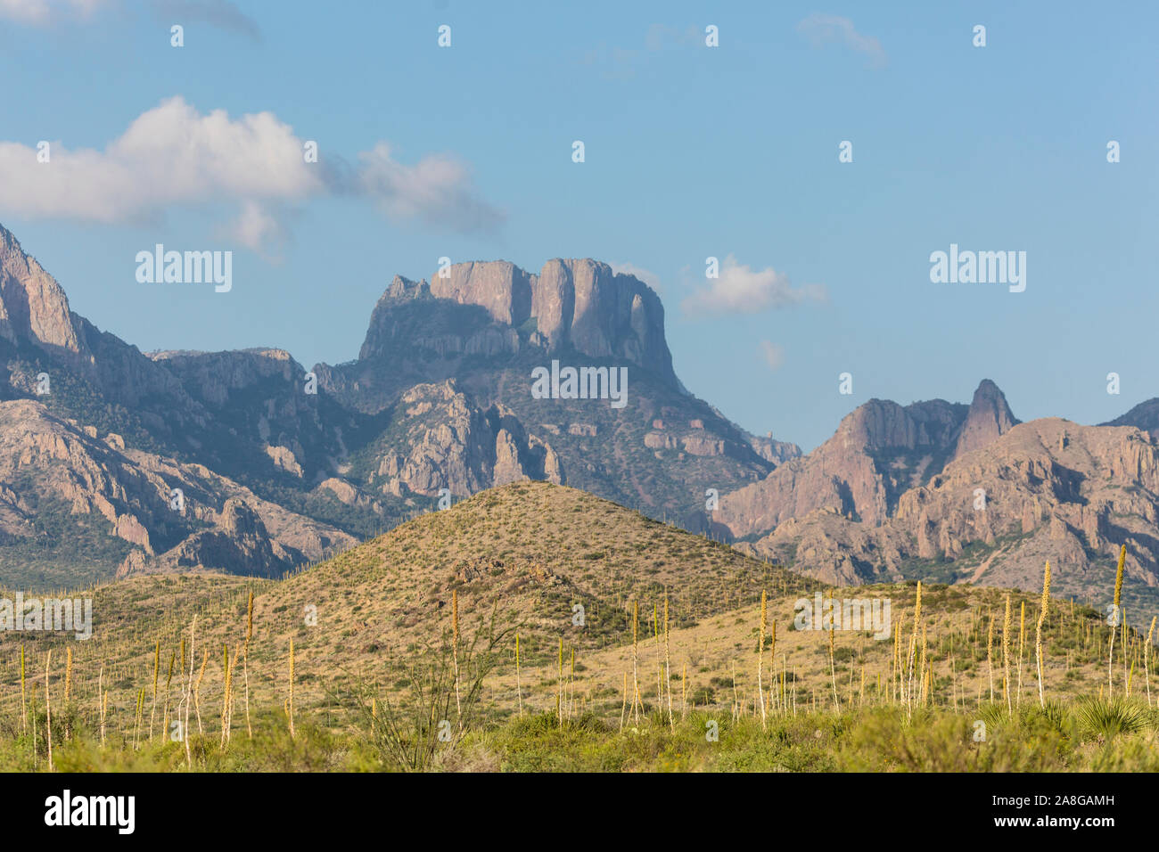 Landscape view of Big Bend National Park near the Chisos Basin during ...