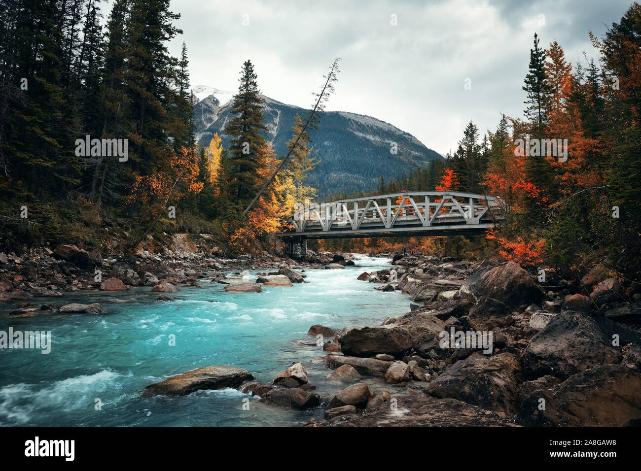 Beautiful landscape in Banff National Park in Canada Stock Photo - Alamy