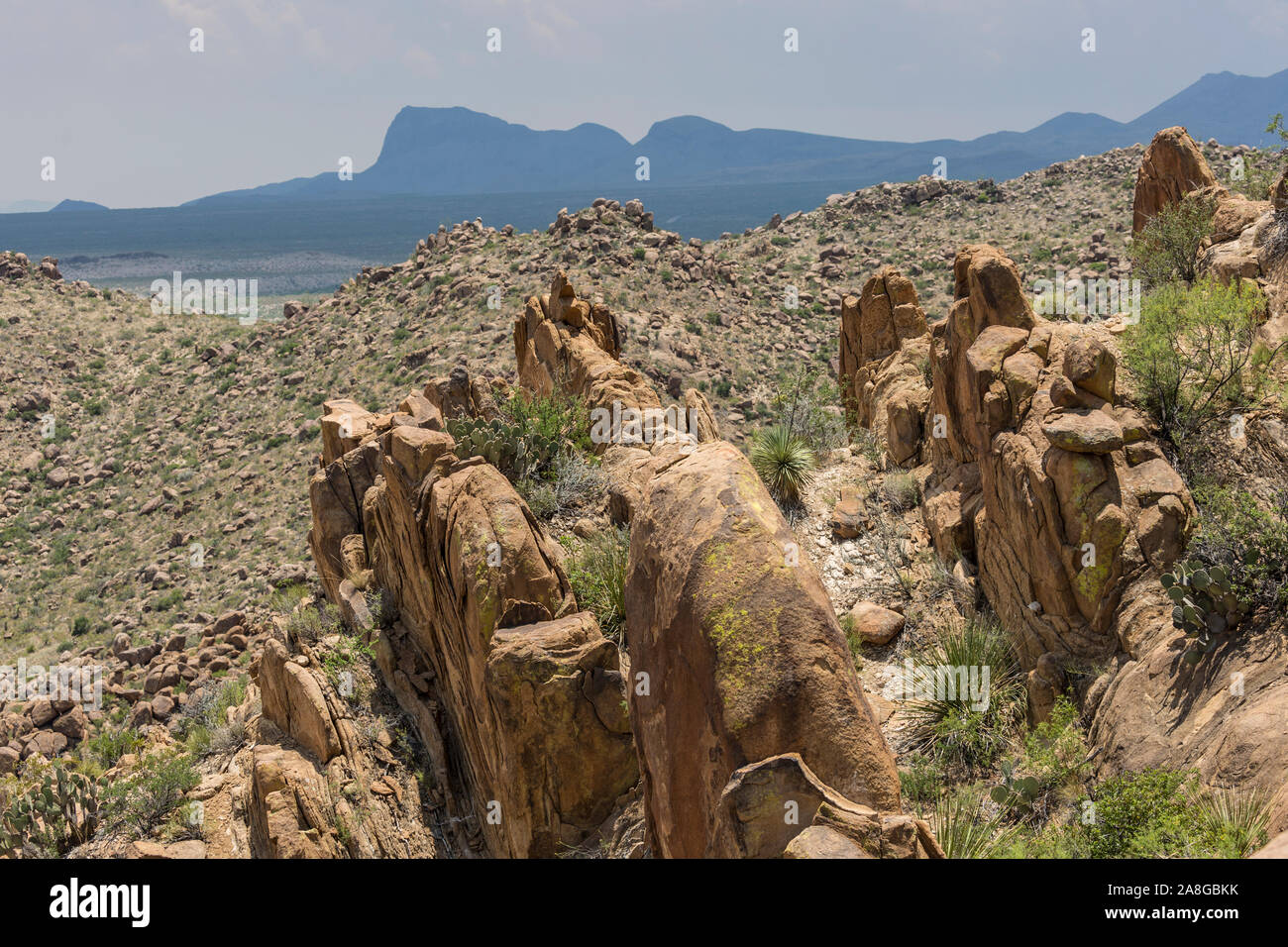 Desert landscape view during the day in Big Bend National Park (Texas ...
