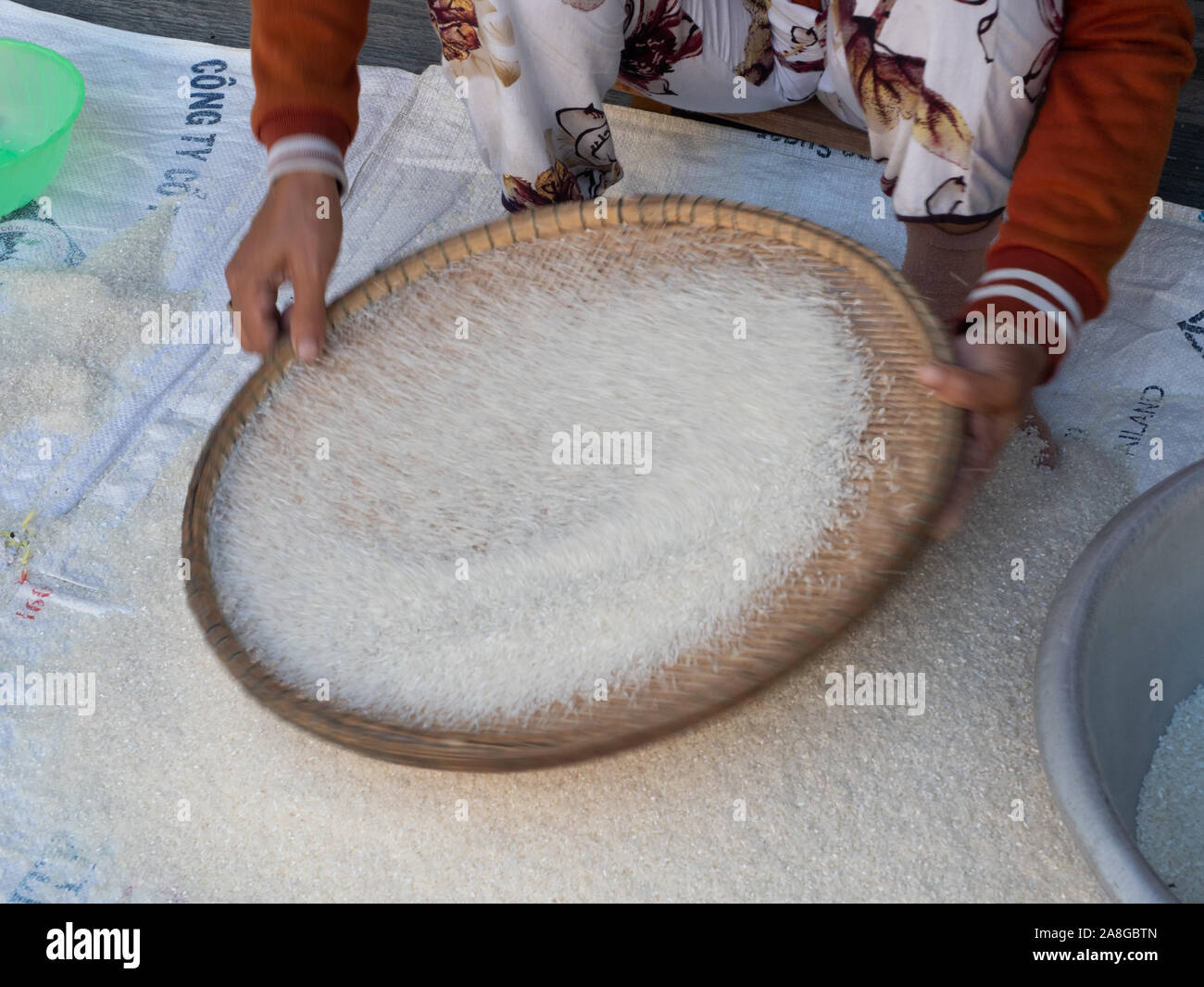 Hands and lower legs of a Vietnamese woman sorting rice with a bamboo ...