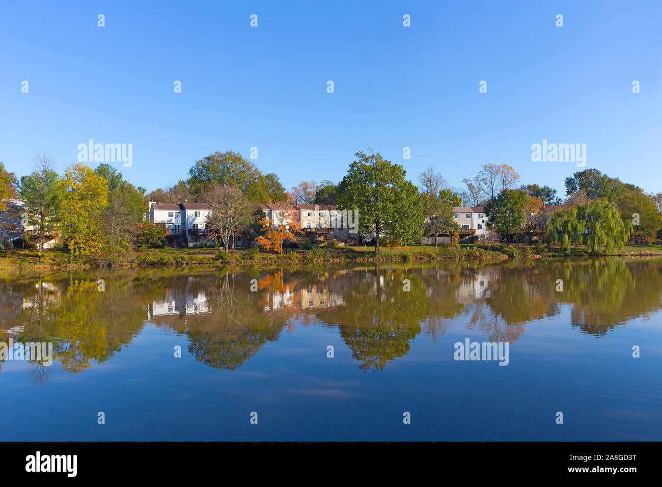 Suburban neighborhood of Falls Church in autumn near water in Virginia ...