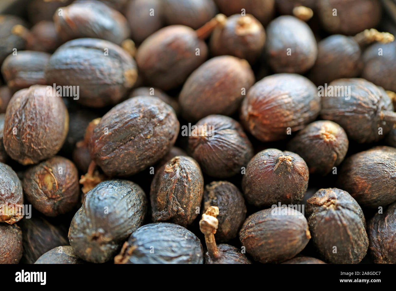 Closeup Heap of Dried Coffee Whole Beans with Shell Stock Photo - Alamy