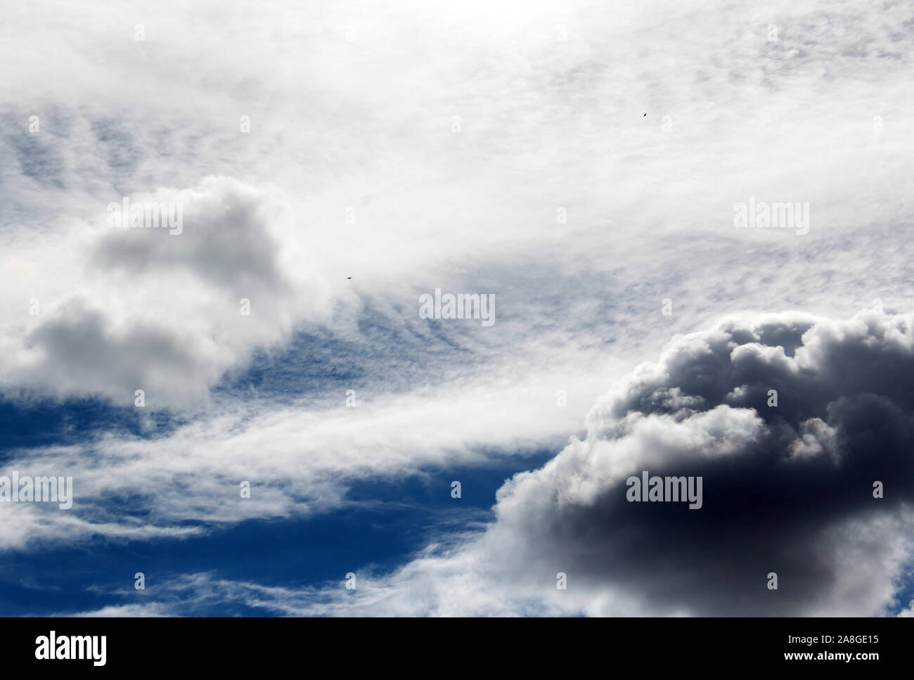Fluffy white cumulus clouds with cumulostratus formations on a spring ...