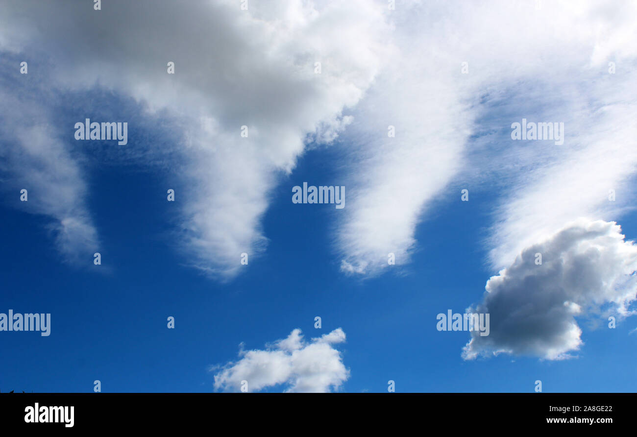 Fluffy white cumulus clouds with cumulostratus formations on a spring ...