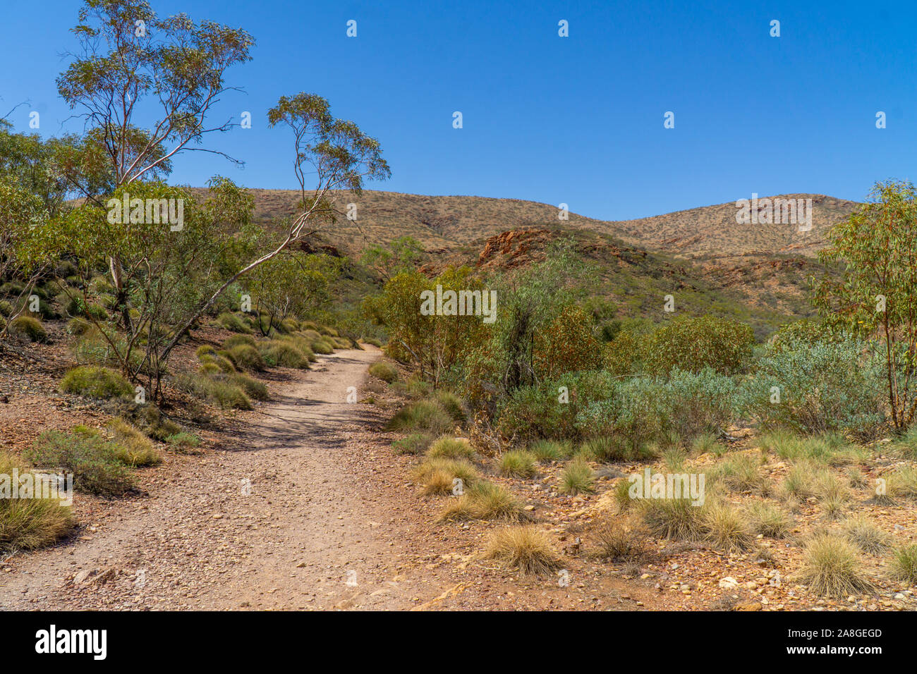 in the Australian outback a sandy path leads to the horizon Stock Photo ...