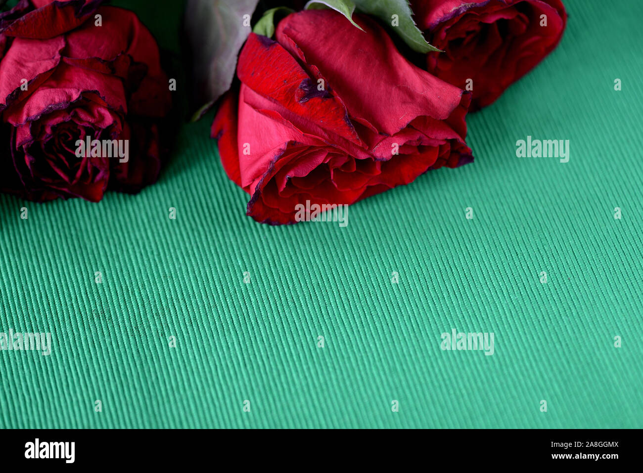 Wilted petal hi-res stock photography and images - Alamy