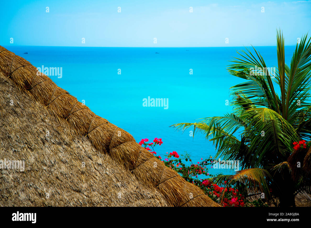 Thatch roof texture background hi-res stock photography and images - Alamy