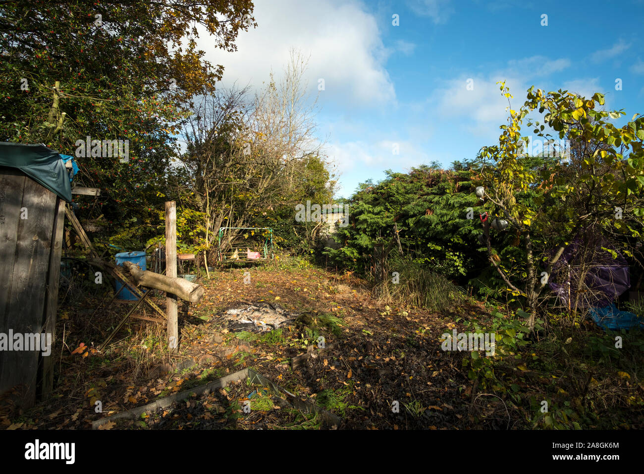 Messy garden shed hi-res stock photography and images - Alamy