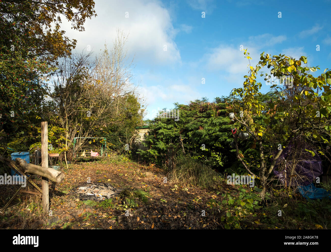 Messy garden hi-res stock photography and images - Alamy