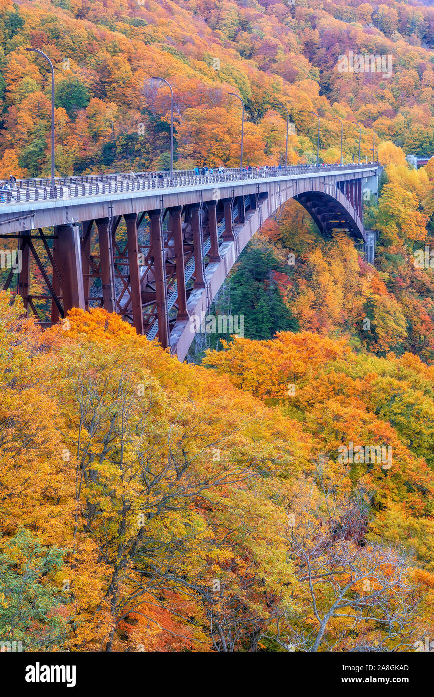 Japan - October 21: Traveller goes to see the color leaf in autumn at ...