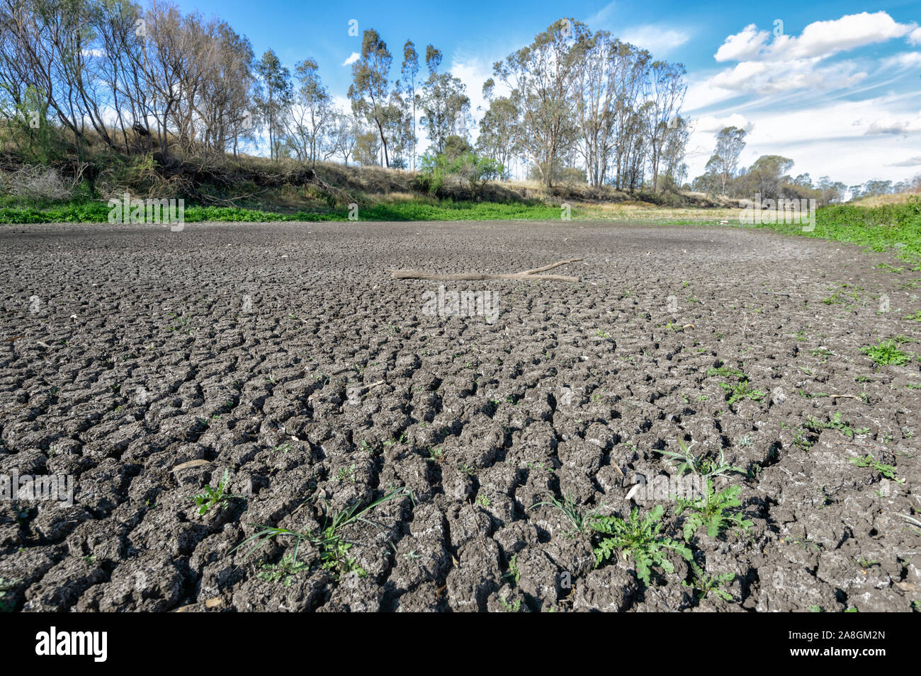 Bungunya hi-res stock photography and images - Alamy