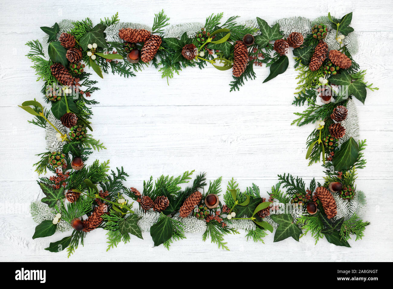 Natural winter and Christmas background border with a variety of flora ...