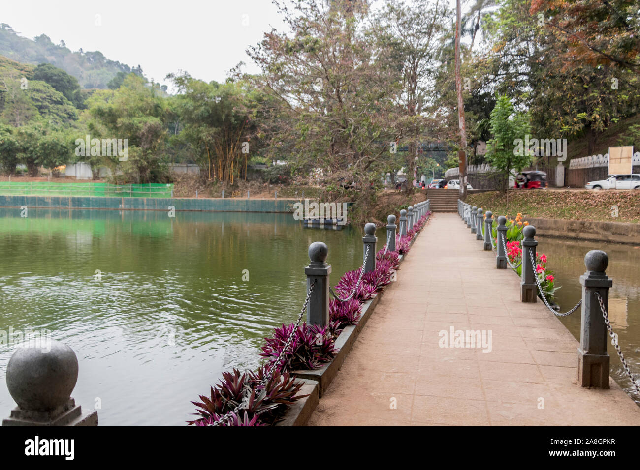 Bridge and river in Kandy, Sri Lanka with flowers and nature Stock ...