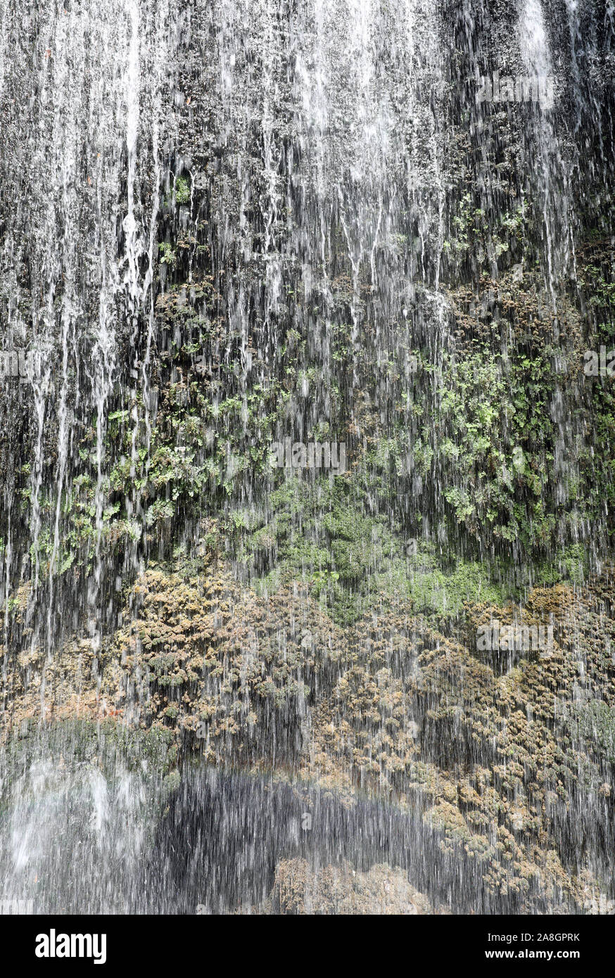 waterfall with fresh flusing water of a brook in mountain and moss ...