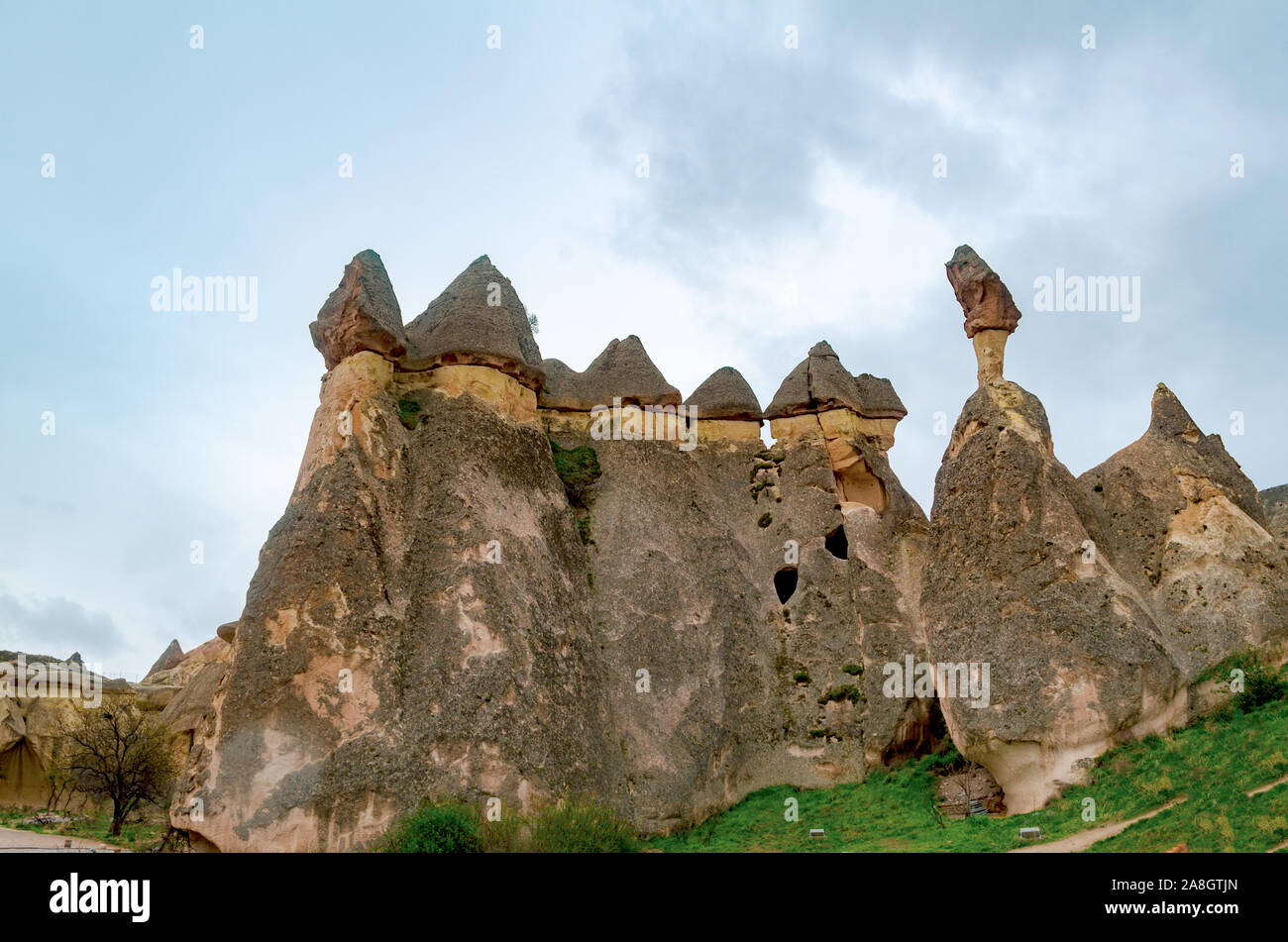 Tuff rocks looks like stone mushrooms in Turkish Cappadocia. Pashabag ...