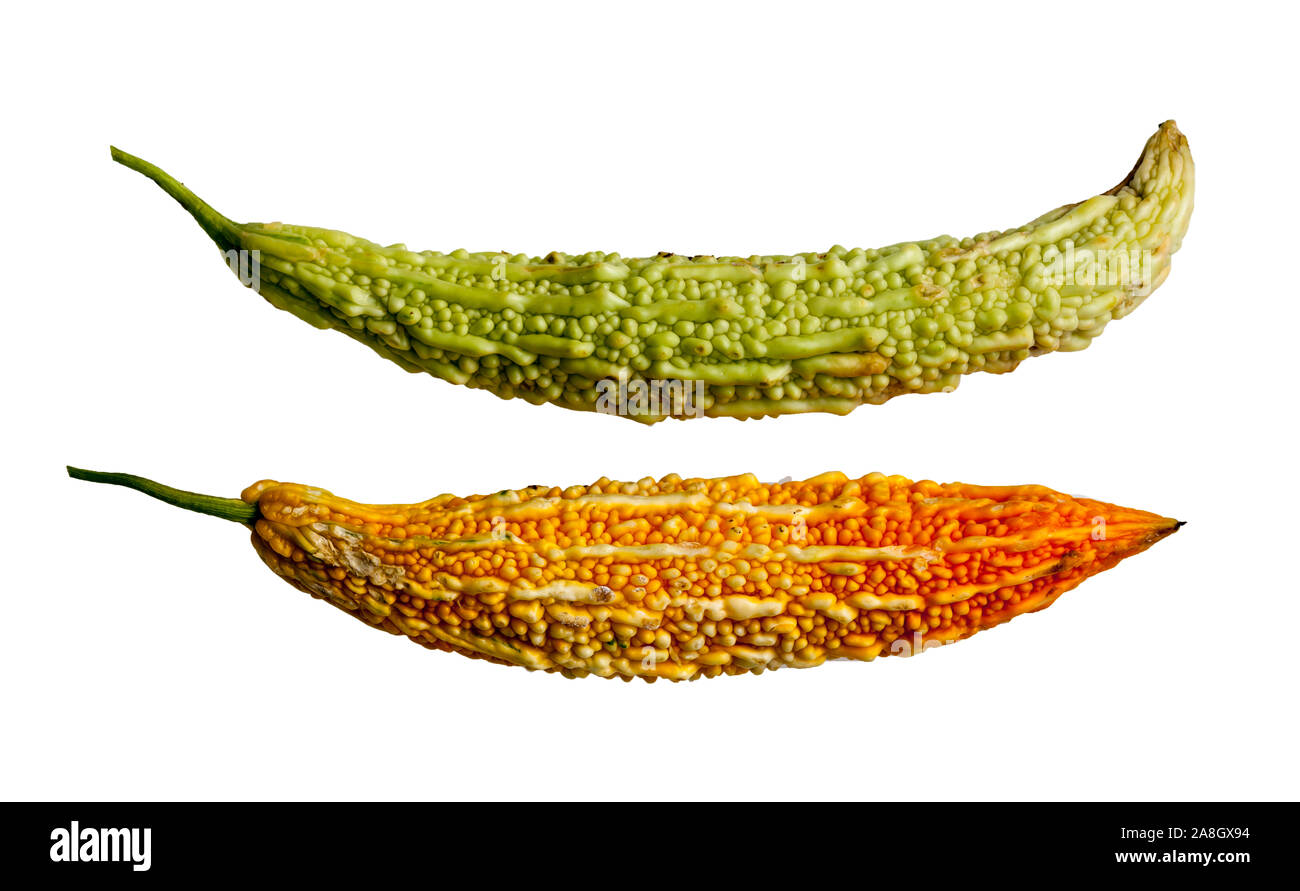 Bitter gourd cutout Stock Photo - Alamy