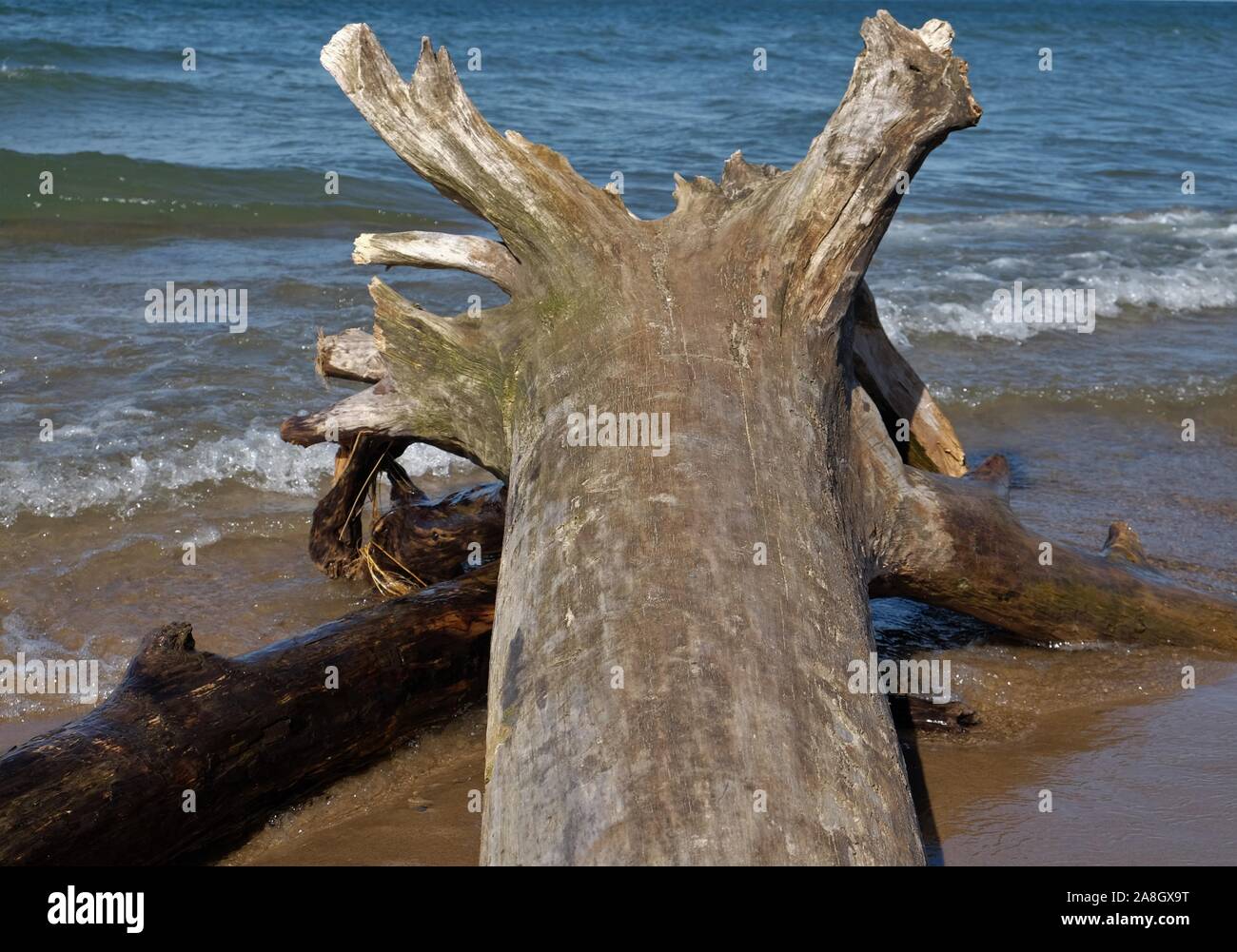 Indiana Sand Dunes Lakeshore Stock Photo - Alamy