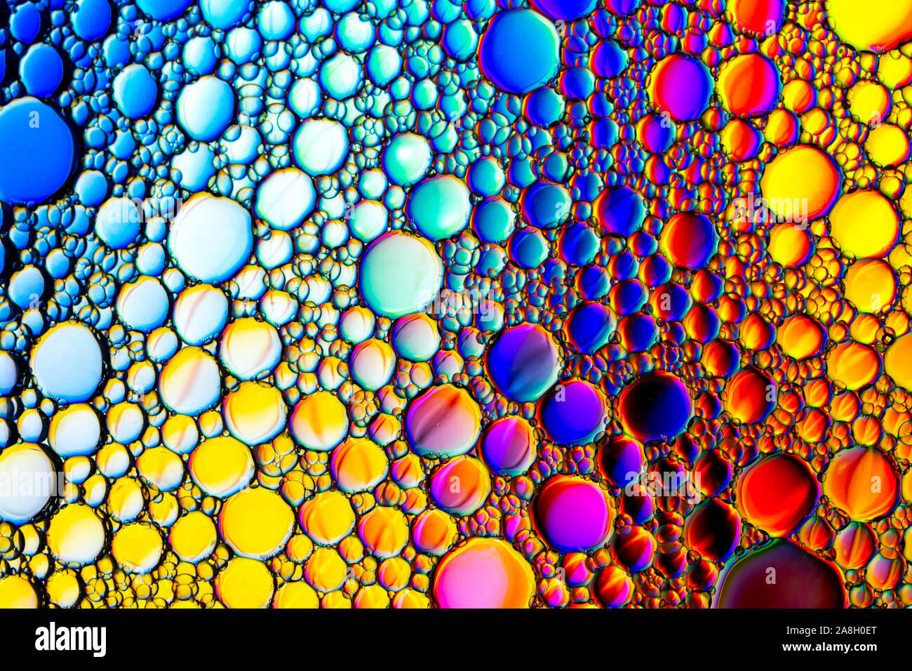 Top view on a colorful drops of oil on the water. Rainbow or spectrum ...