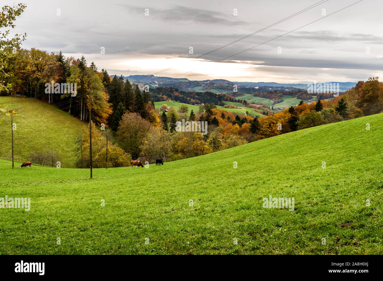 Emmental valley hi-res stock photography and images - Alamy