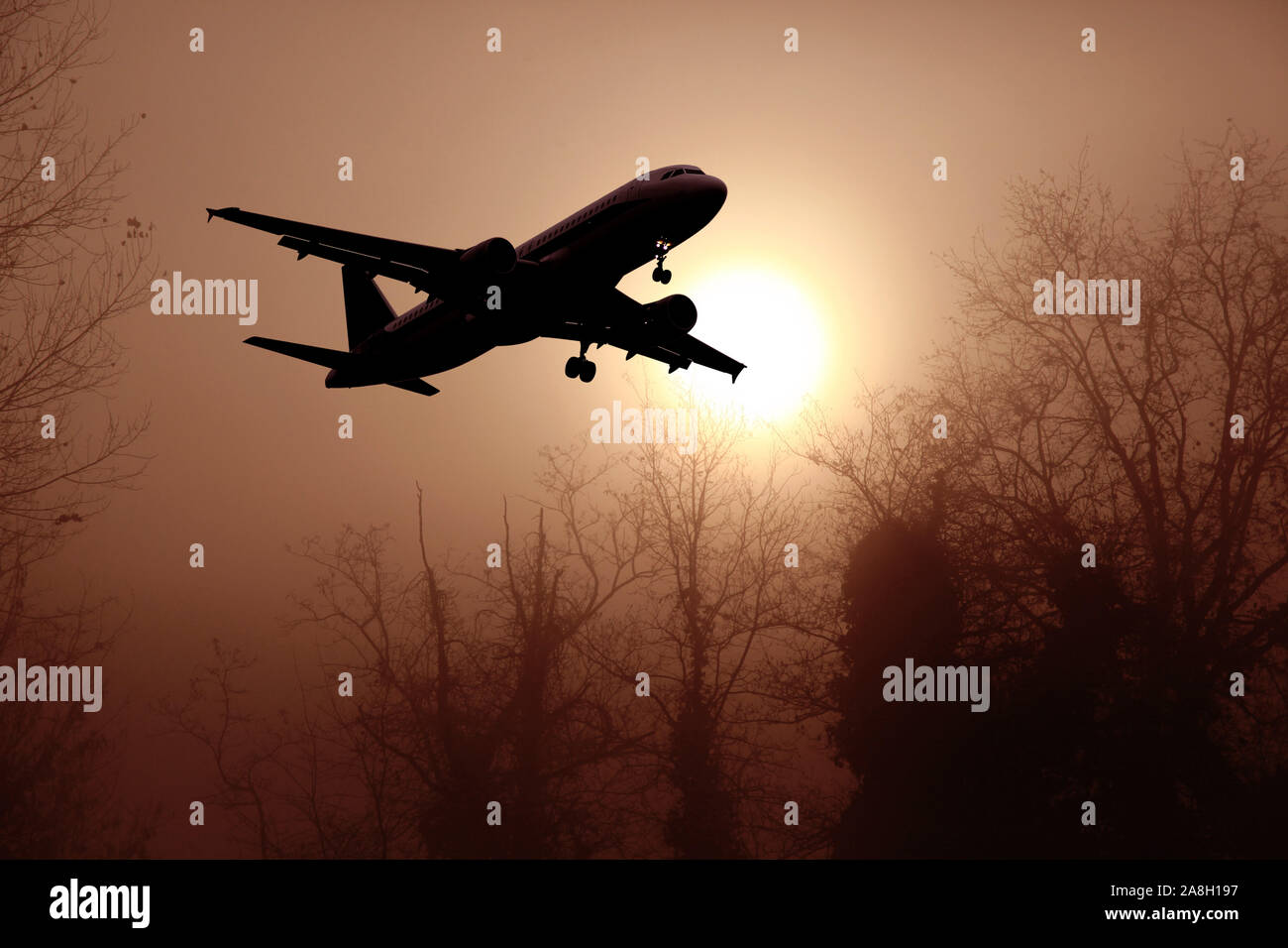 Airplane in fog hi-res stock photography and images - Alamy