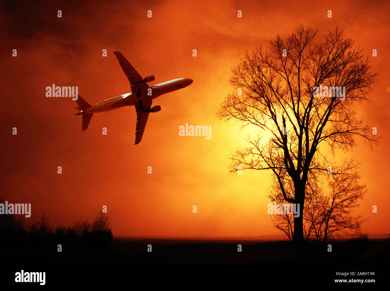 Flying in the winter hi-res stock photography and images - Alamy