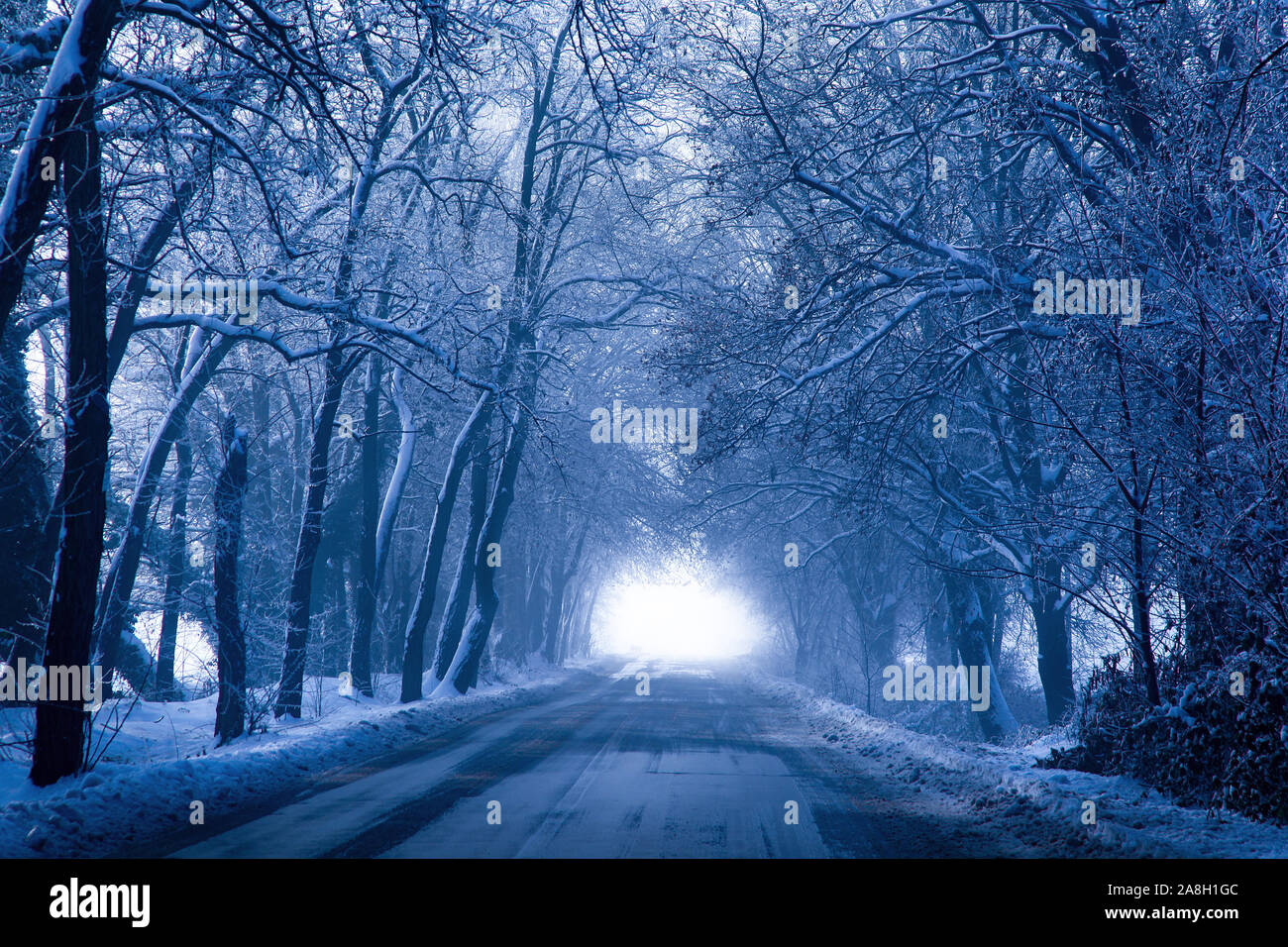 a fantastic snowy country road Stock Photo - Alamy