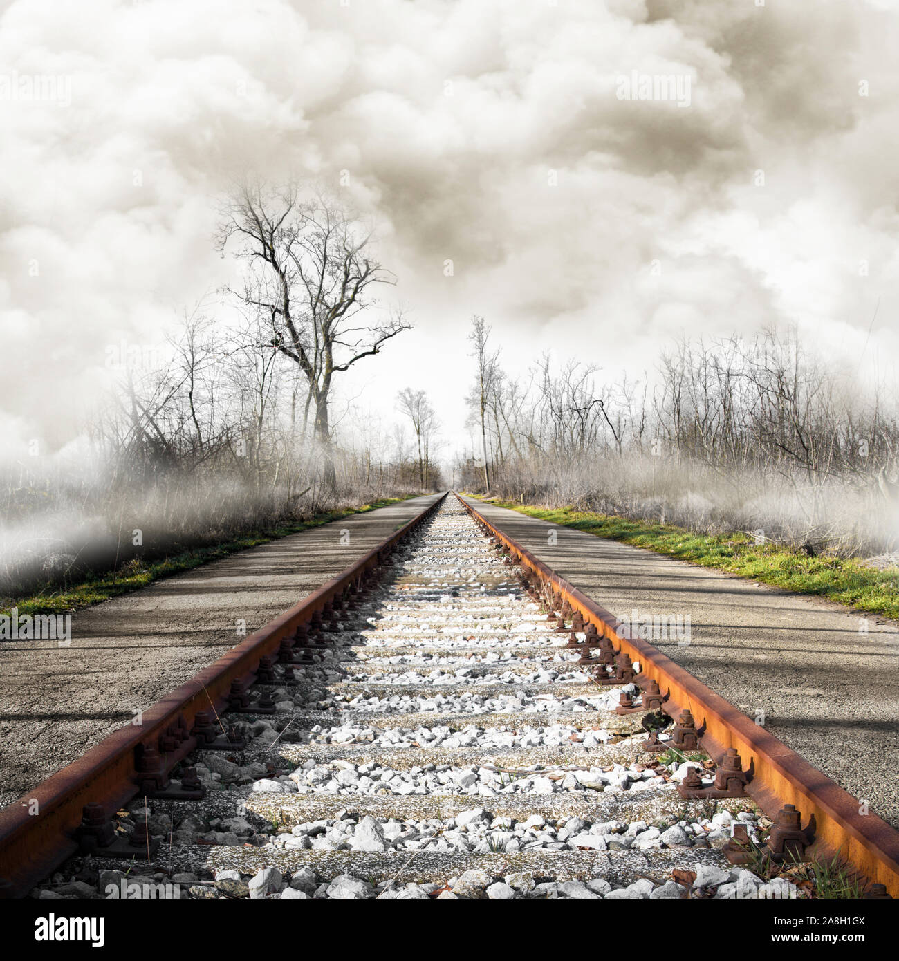 Train rails in foggy landscape Stock Photo - Alamy