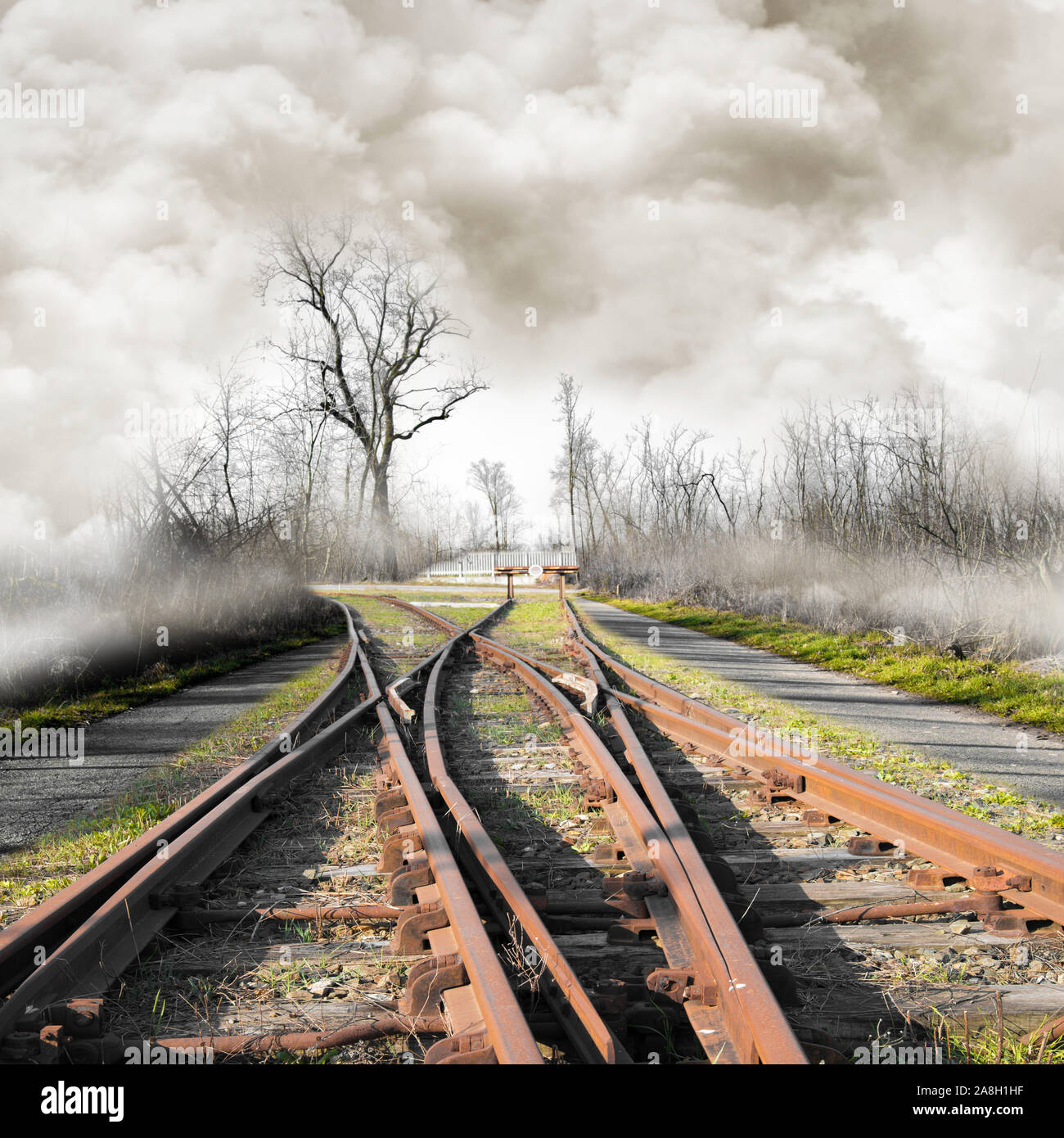 Train rails in foggy landscape Stock Photo - Alamy