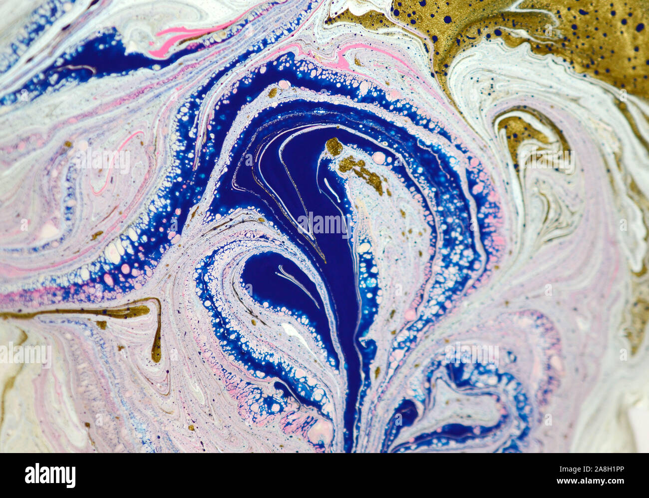 Optical illusion animal hi-res stock photography and images - Alamy
