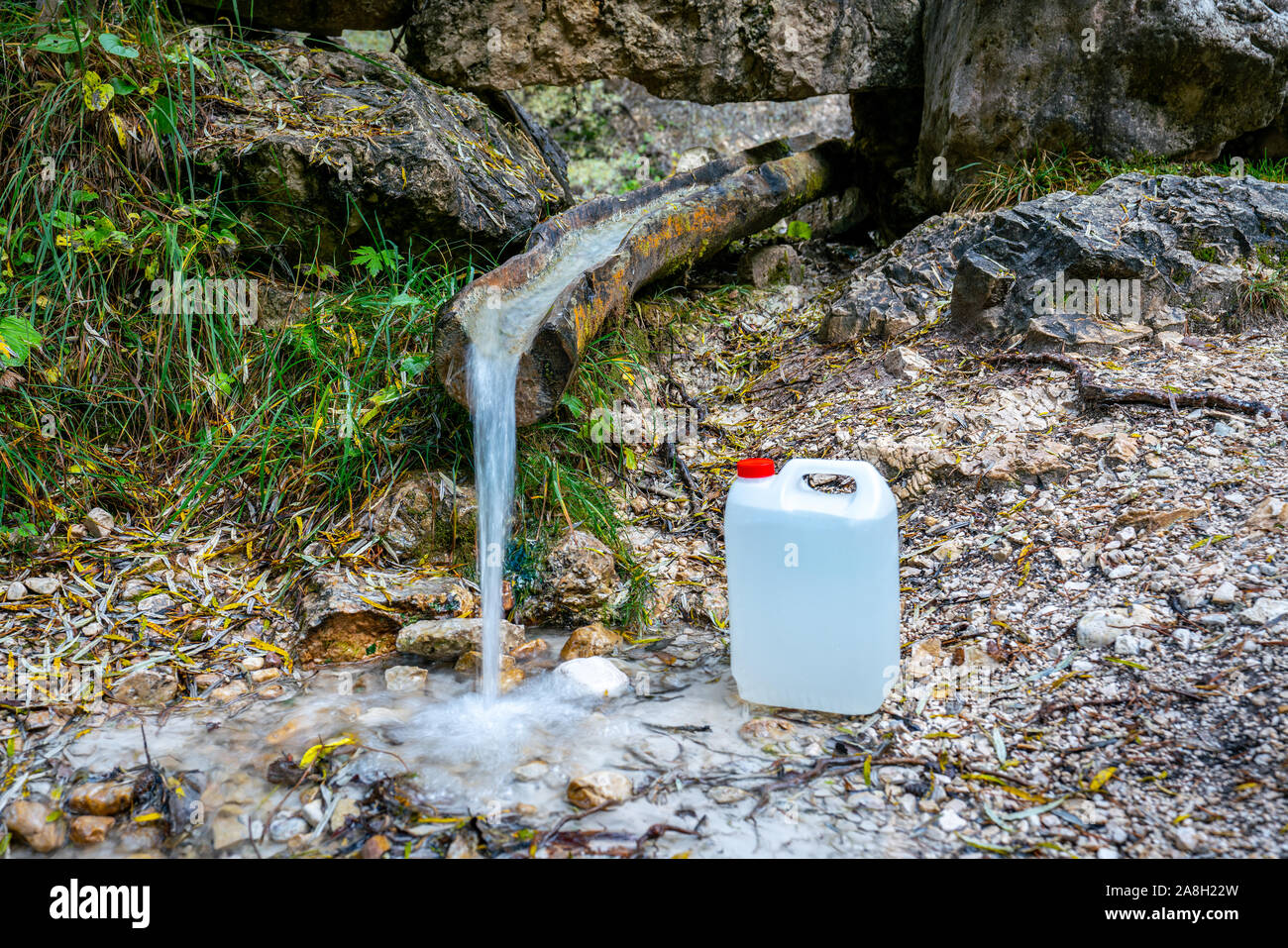Filling fresh water from a mountain stream in a white plastic can as ...