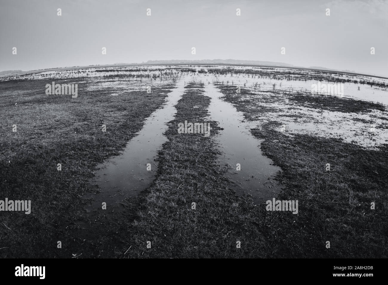 Wetlands in the hungarian pannonian steppe (puszta), Hortobágy National ...