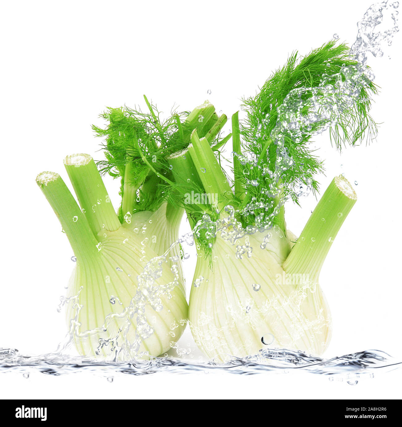 fresh fennel falling in pure water Stock Photo - Alamy