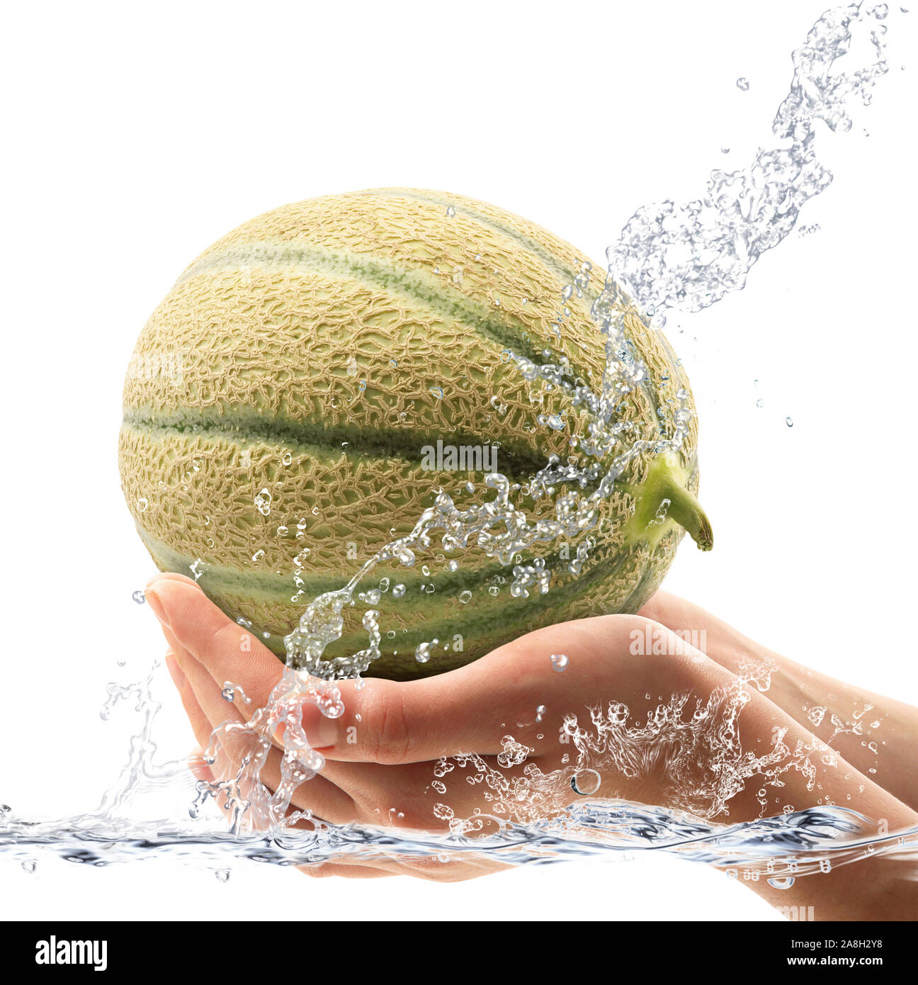 fresh melon falling in water Stock Photo - Alamy