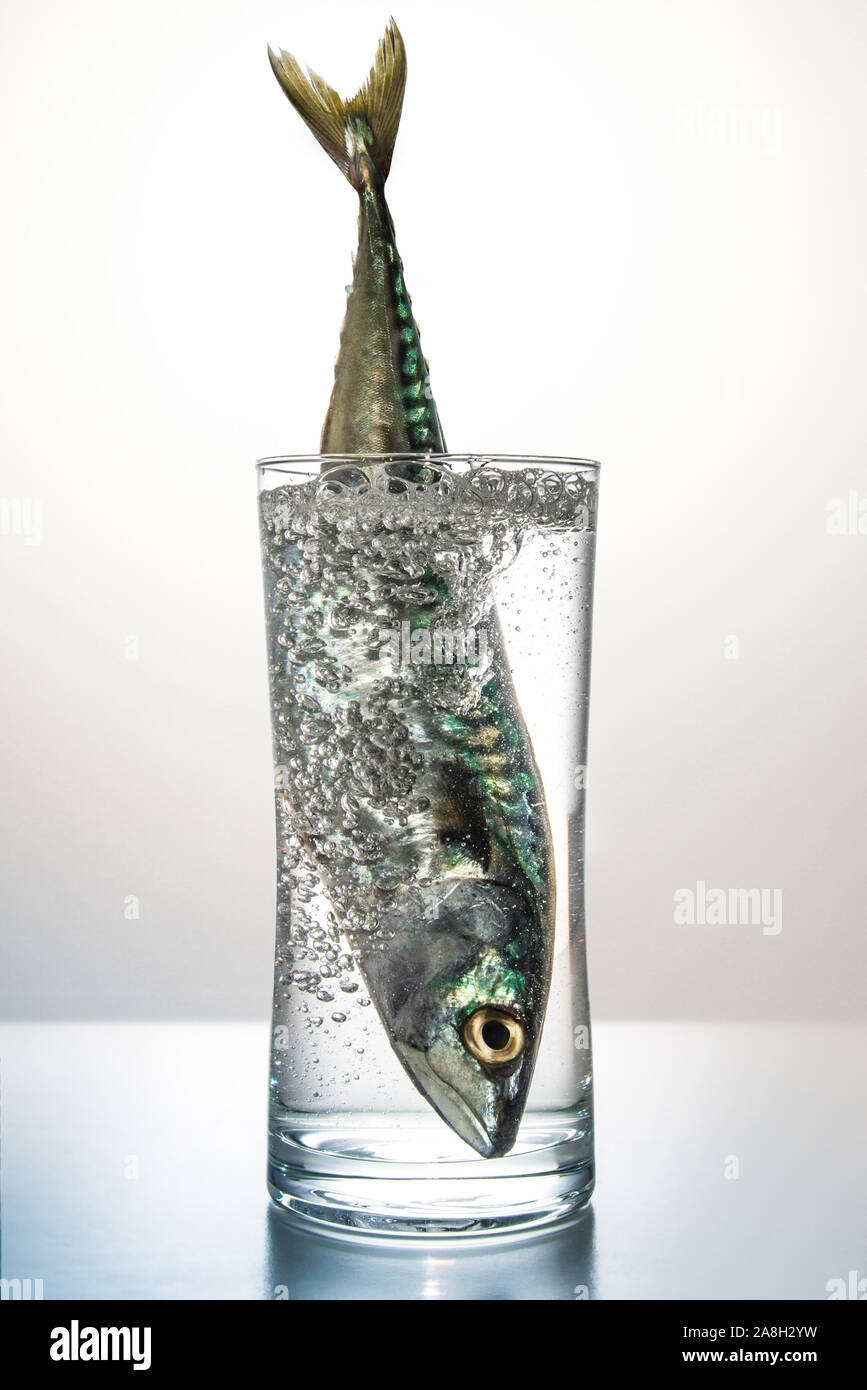 Water drop inside a bubble hi-res stock photography and images - Alamy
