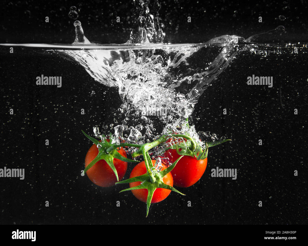 fresh tomatoes falling in pure water Stock Photo - Alamy