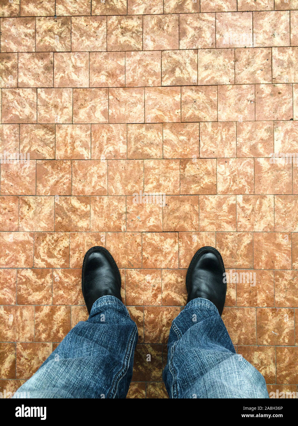 standing on a floor of brown tiles Stock Photo - Alamy