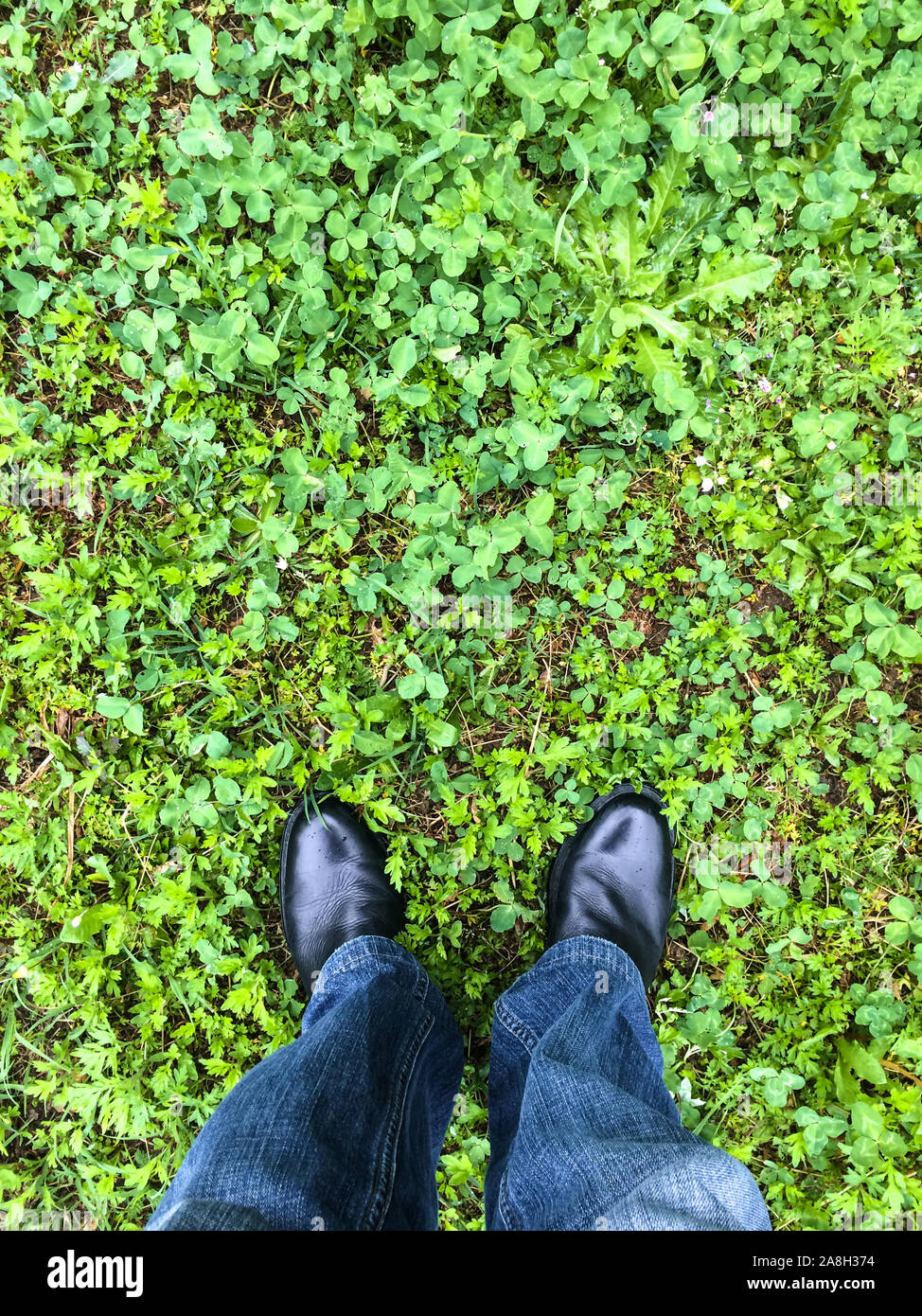 standing on a grass floor Stock Photo - Alamy