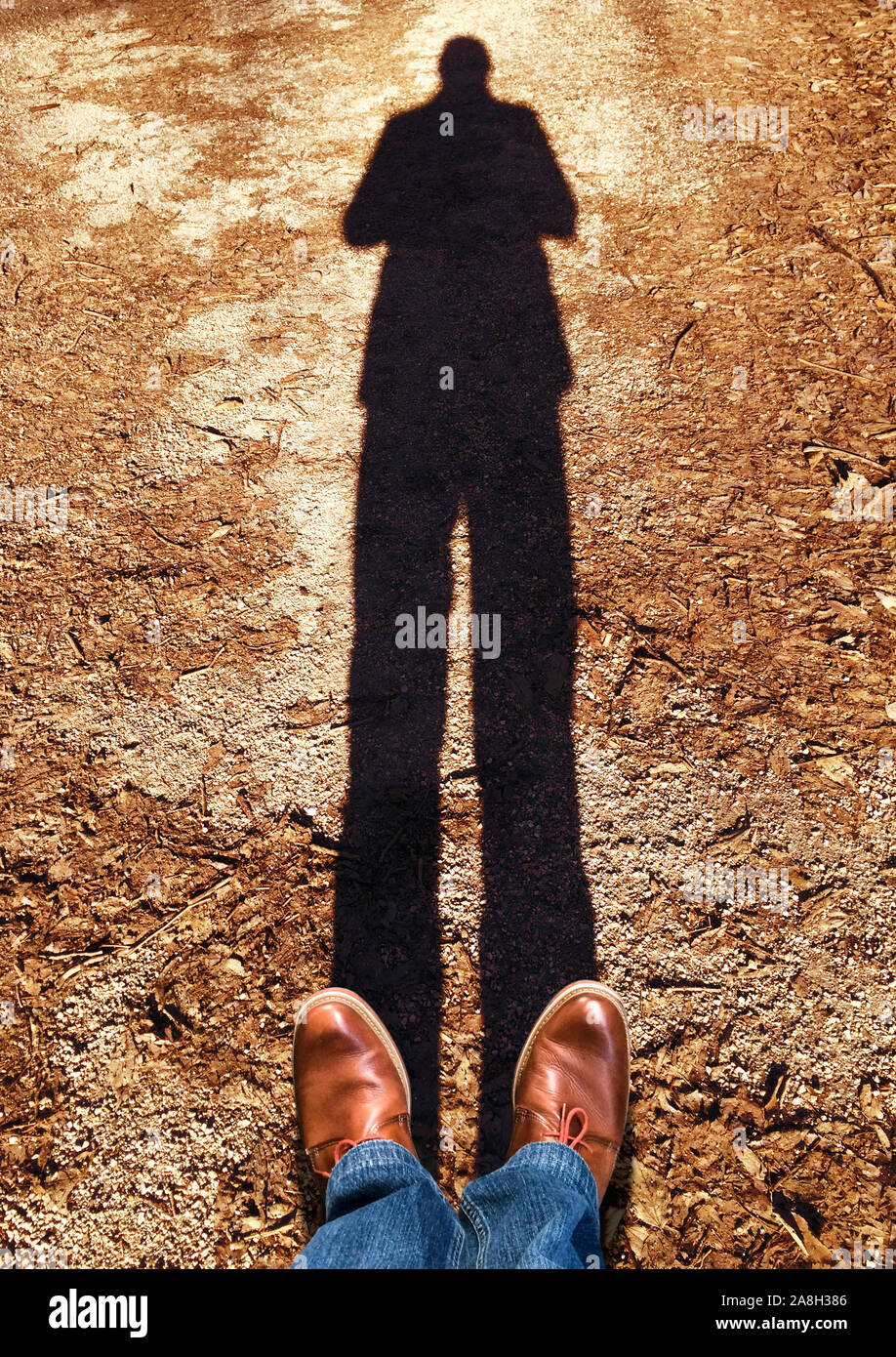 Shadow on foot path hi-res stock photography and images - Alamy