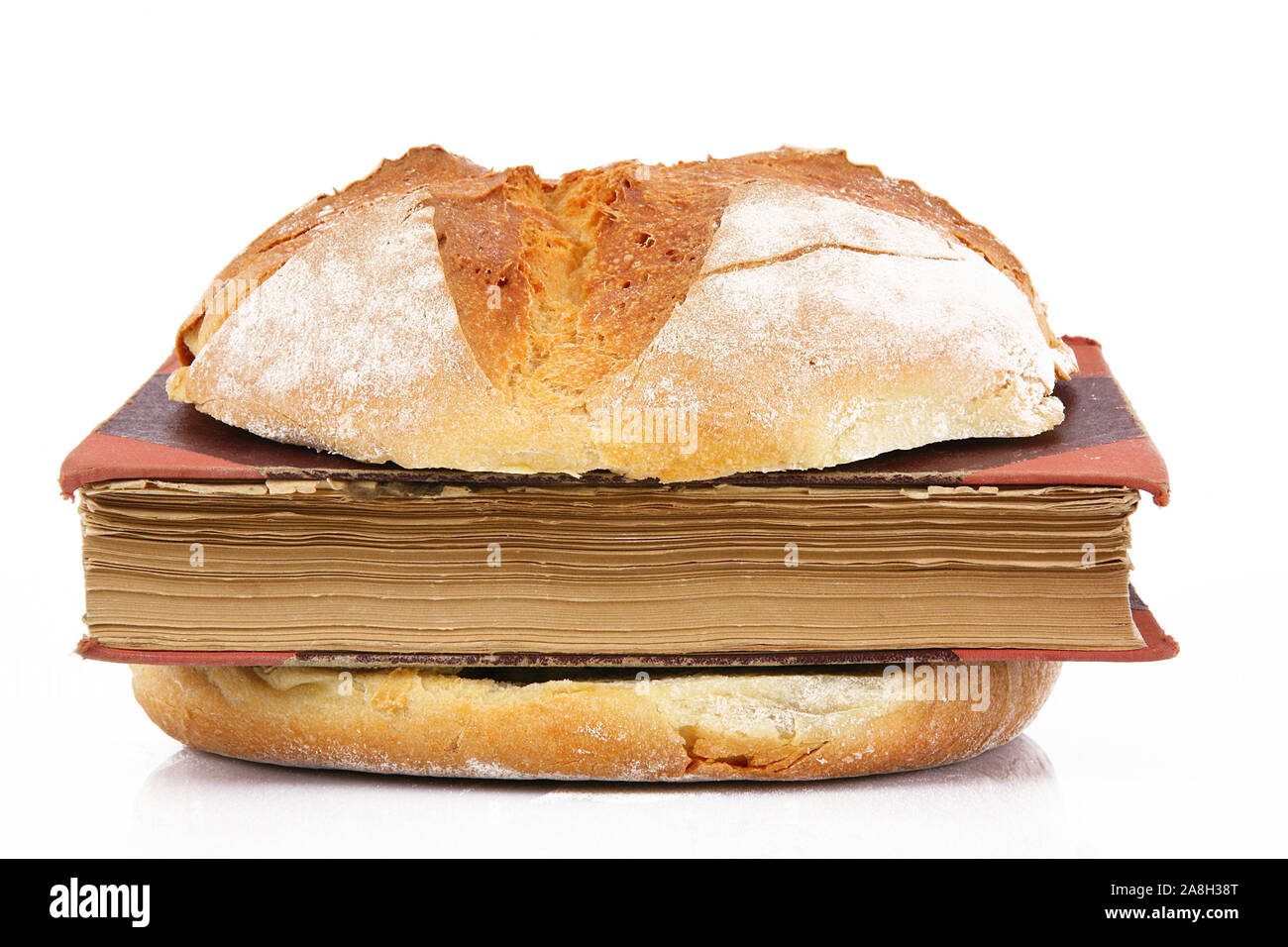 sandwich with book on white background Stock Photo - Alamy