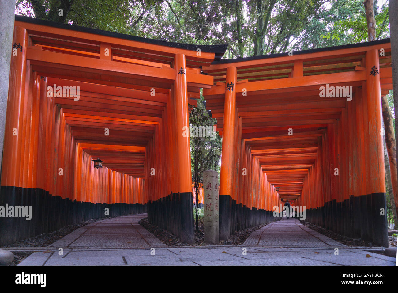 Red Torii gates in Fushimi Inari shrine in Kyoto, Japan Stock Photo - Alamy